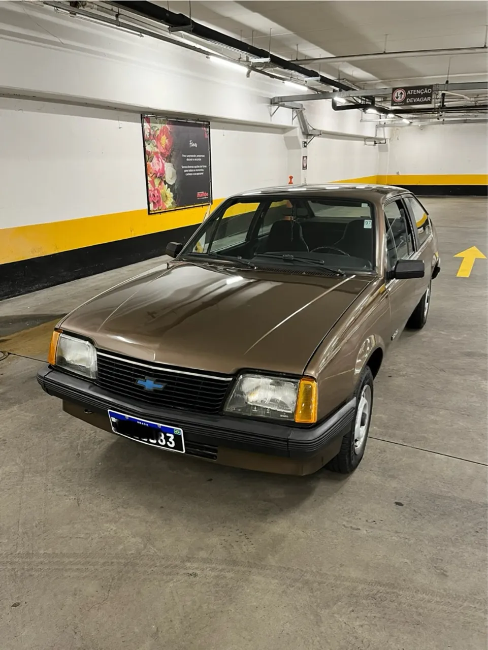 CHEVROLET MONZA Usados e Novos em São Paulo e região, SP
