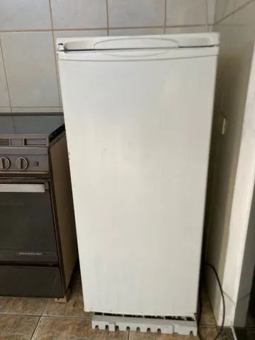 "freezer vertical prosdocimo" no Brasil