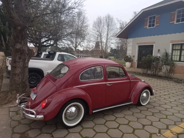 VOLKSWAGEN FUSCA 1966 Usados e Novos