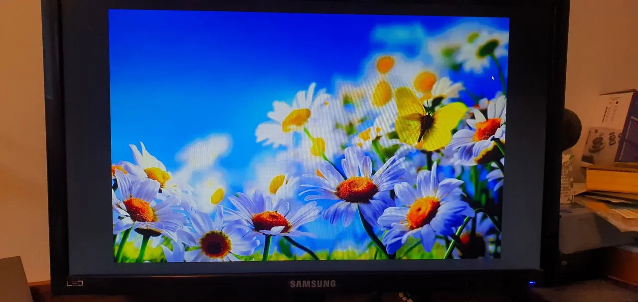 "monitores de 22 polegadas" - Monitores no Brasil