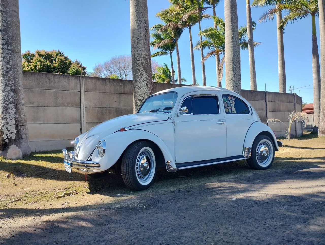 Volkswagen Fusca Usados e Novos