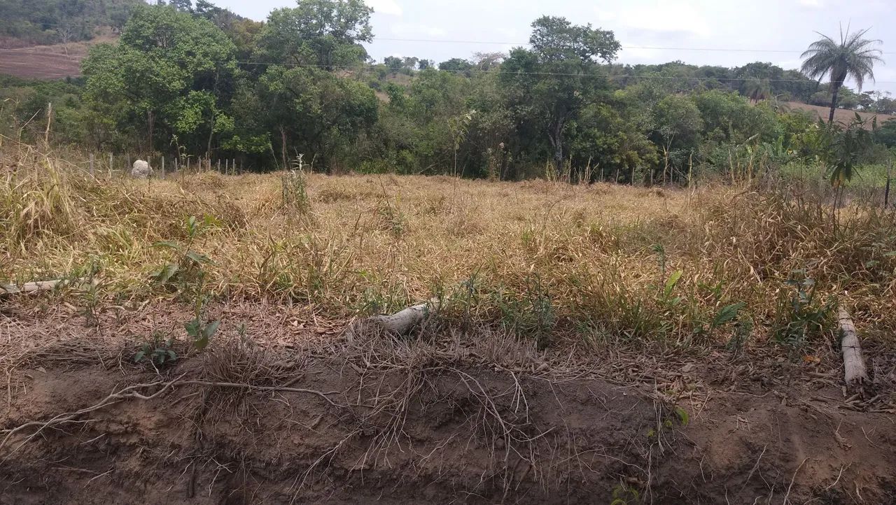 "chacara com rio" no Brasil