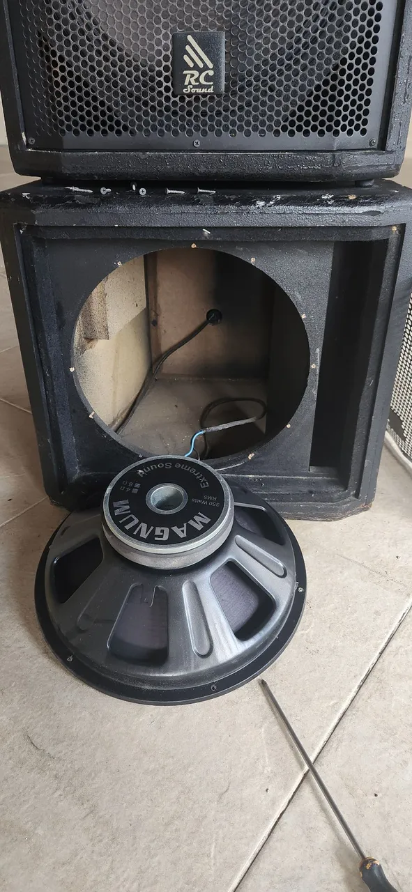 "caixa de som passiva 15 polegadas" no Brasil