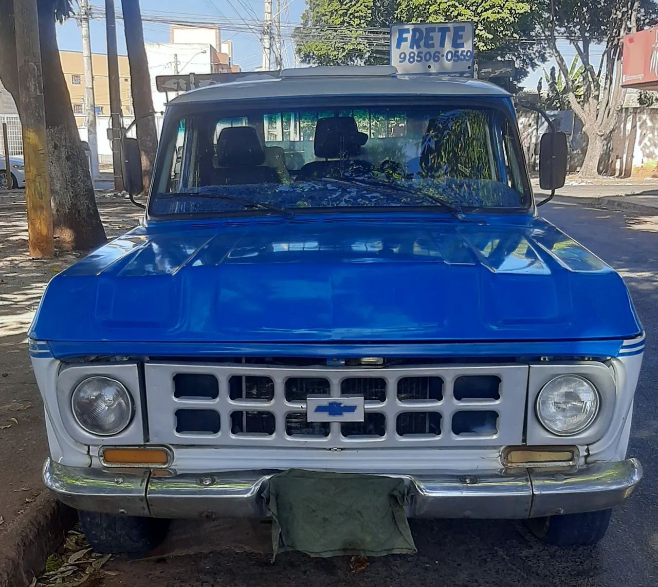 CHEVROLET D-10 Usados e Novos