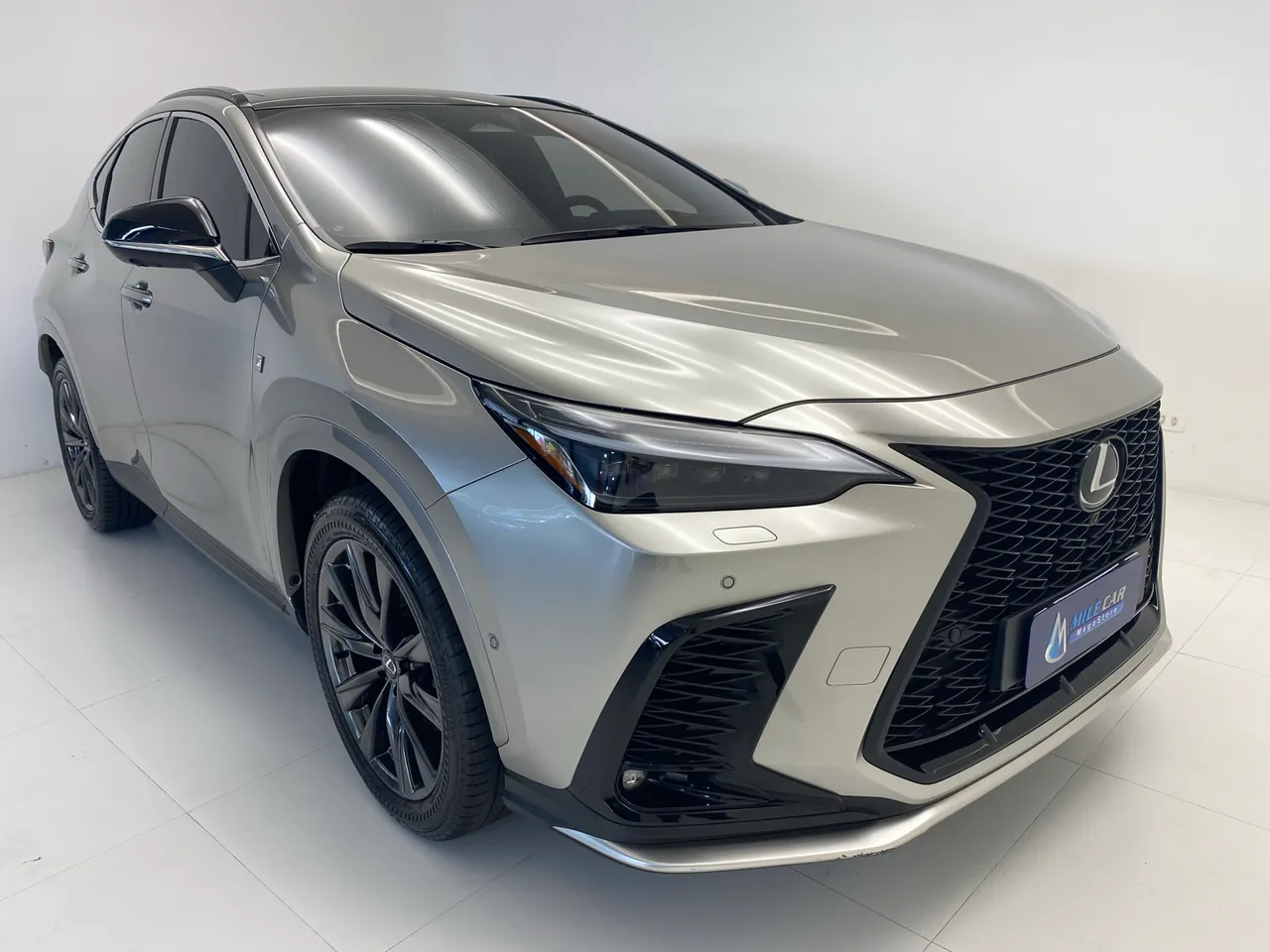 LEXUS Usados e Novos em SP