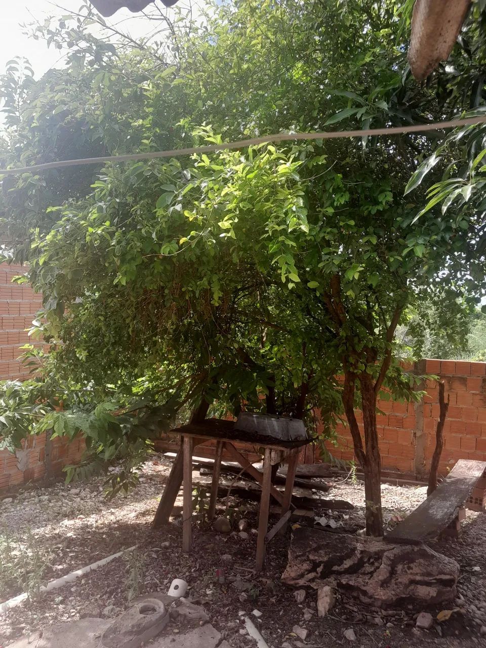 Casa 2 quartos à venda - Núcleo Habitacional Sucuri, Cuiabá - MT ...