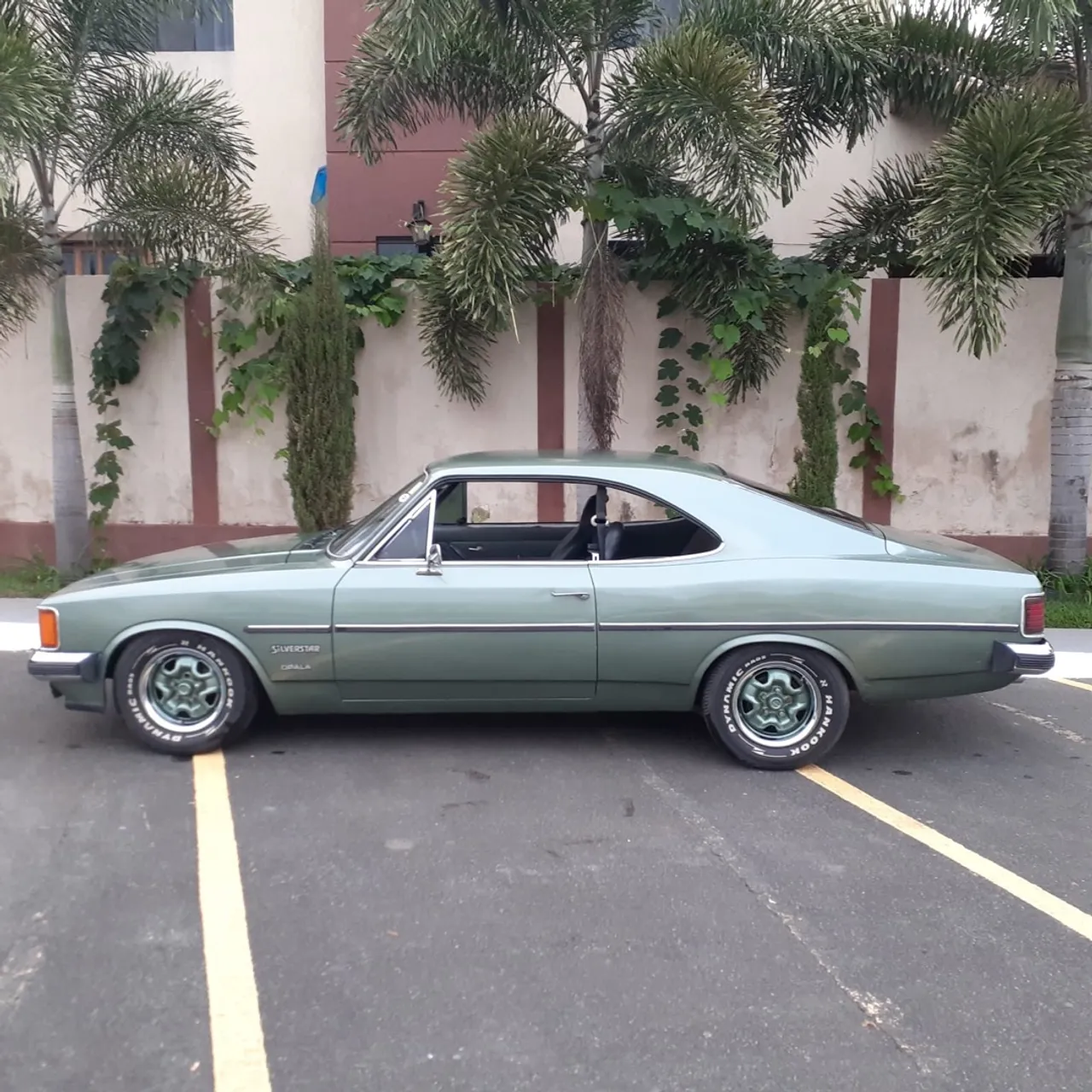 Chevrolet Opala 1981 Usados e Novos