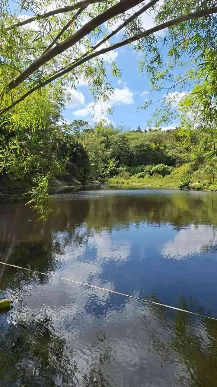 Áreas à venda em rua pública, ZONA RURAL, Chã Grande, PE - Terrenos ...