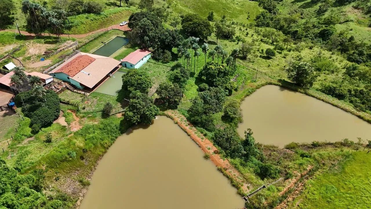 11 Alqueires em Abadiânia GO - Terrenos, sítios e fazendas - Taguatinga ...