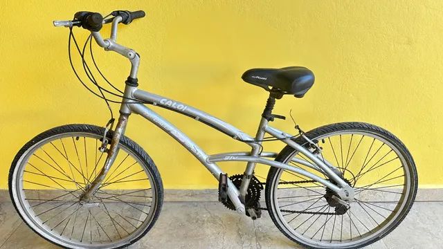 "bike aro 100" no Brasil