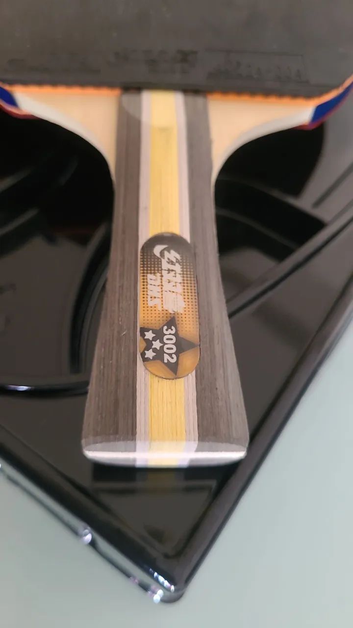 Raquete de Tênis de Mesa DHS 3002 - Esportes de Quadra e Ao Ar Livre ...