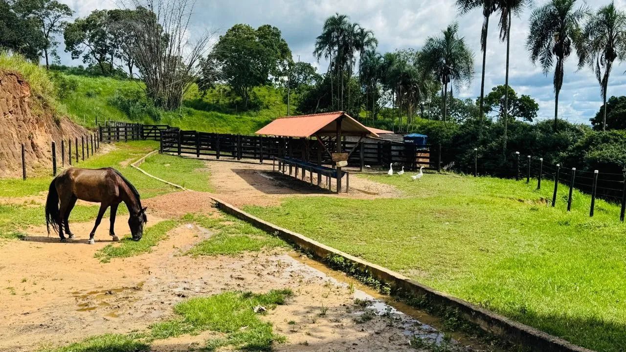 11 Alqueires em Abadiânia GO - Terrenos, sítios e fazendas - Taguatinga ...