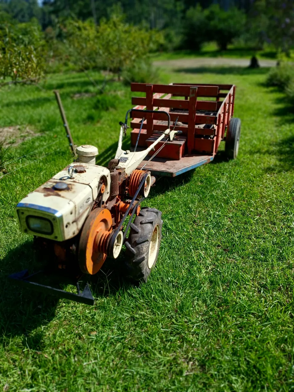 "trator tobata" - Tratores e máquinas agrícolas no Brasil