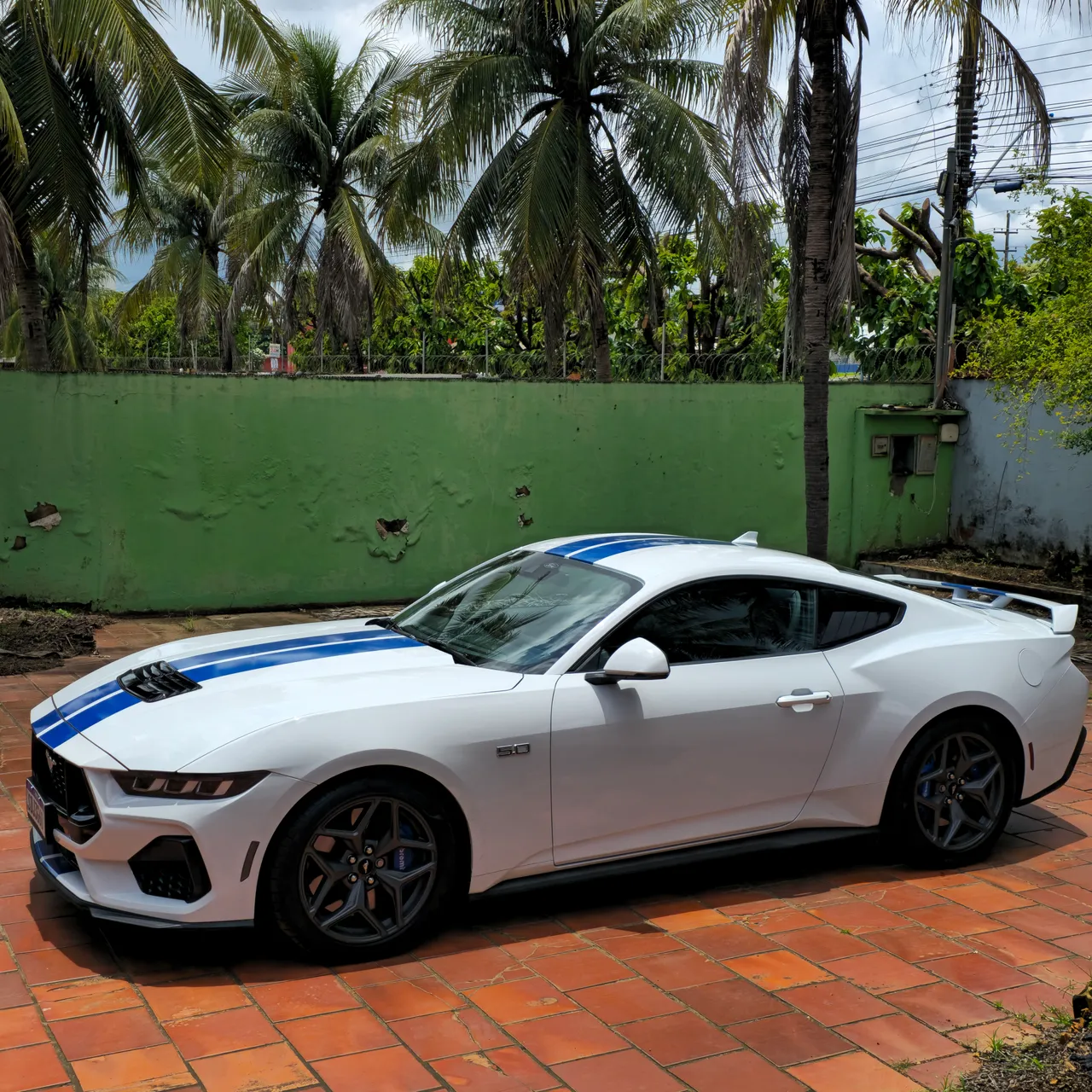 FORD MUSTANG Usados e Novos