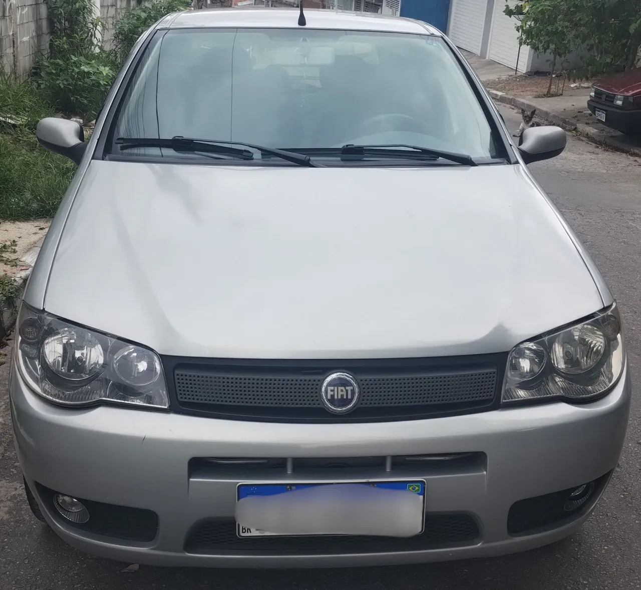 FIAT PALIO 2008 Usados e Novos