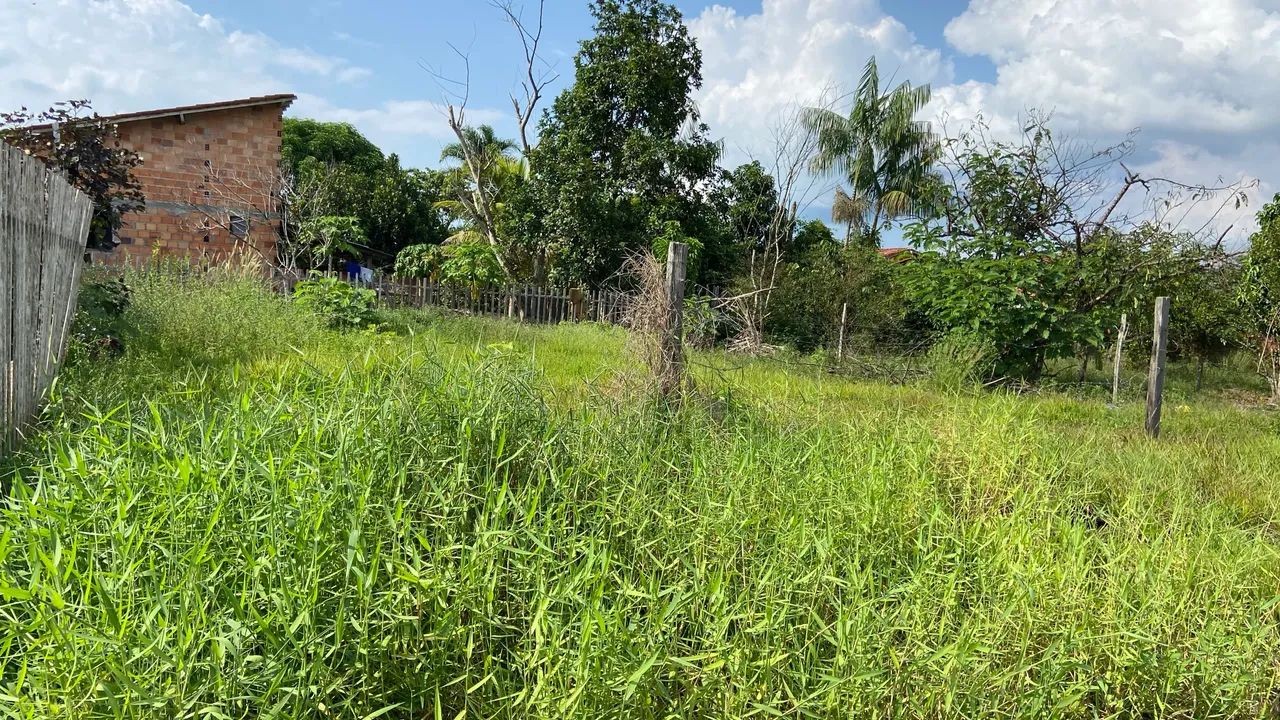 Casa à venda - São Francisco do Pará - PA 1452105484 | OLX