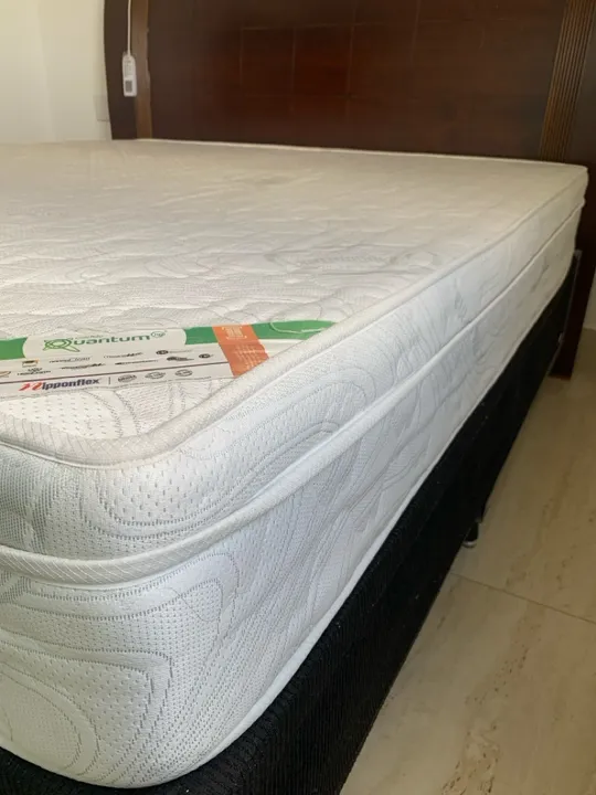 "nipponflex" no Brasil