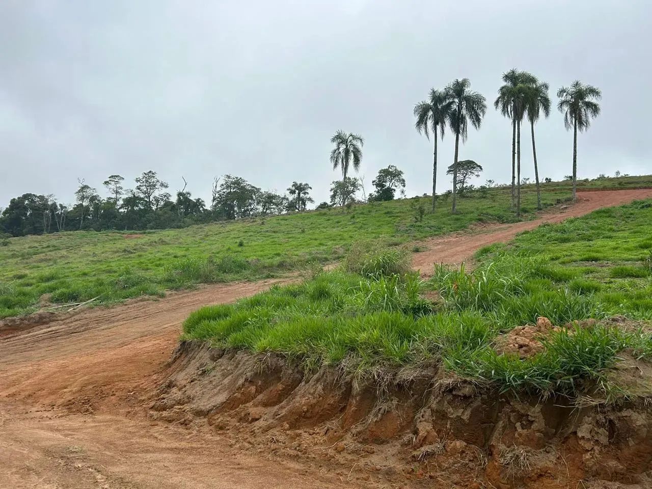 Viva em um Lugar Incrível: Terreno em Ibiúna, Perfeito para Quem Ama a Natureza! - Terrenos ...