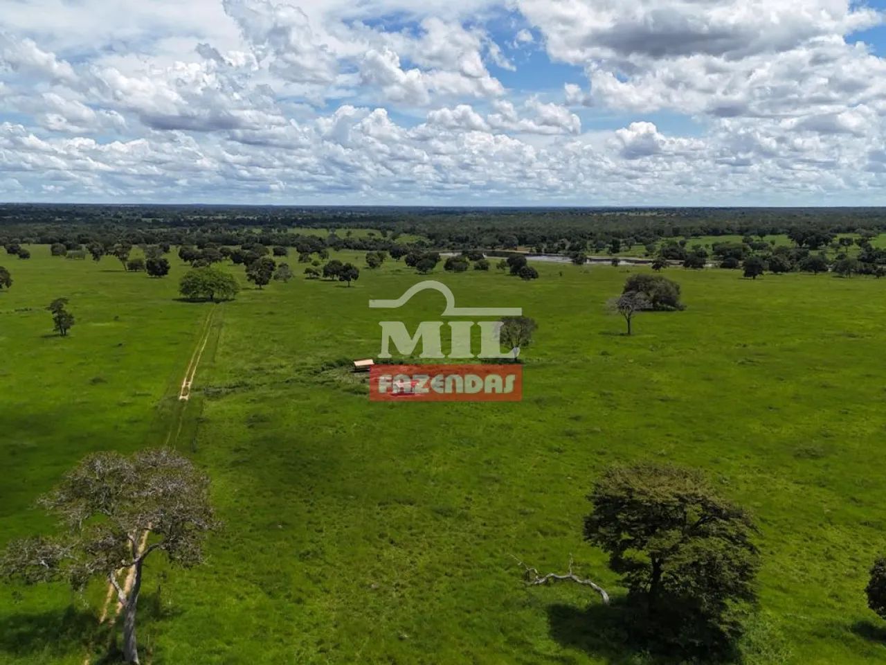 Fazenda 254 Alqueires (1.210 hectares) São Miguel do Araguaia - GO ...