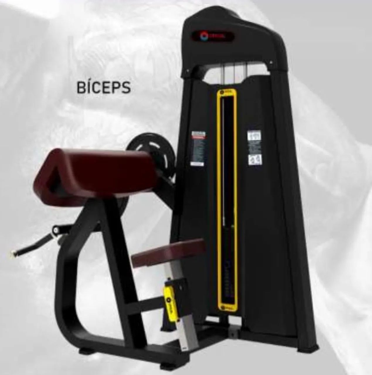 Aparelho de Rosca Direta para Bíceps - Academia - Academia e Exercícios ...