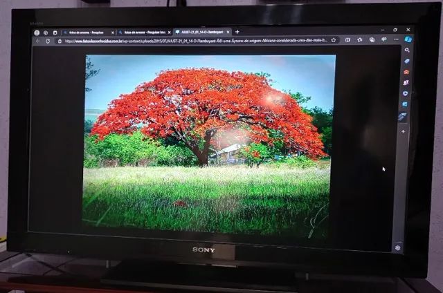 "tv sony bravia 40" no Brasil