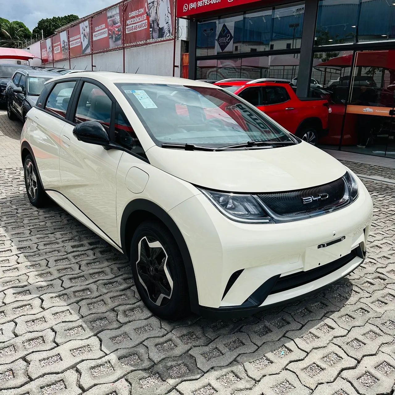 BYD DOLPHIN elétricos Usados e Novos