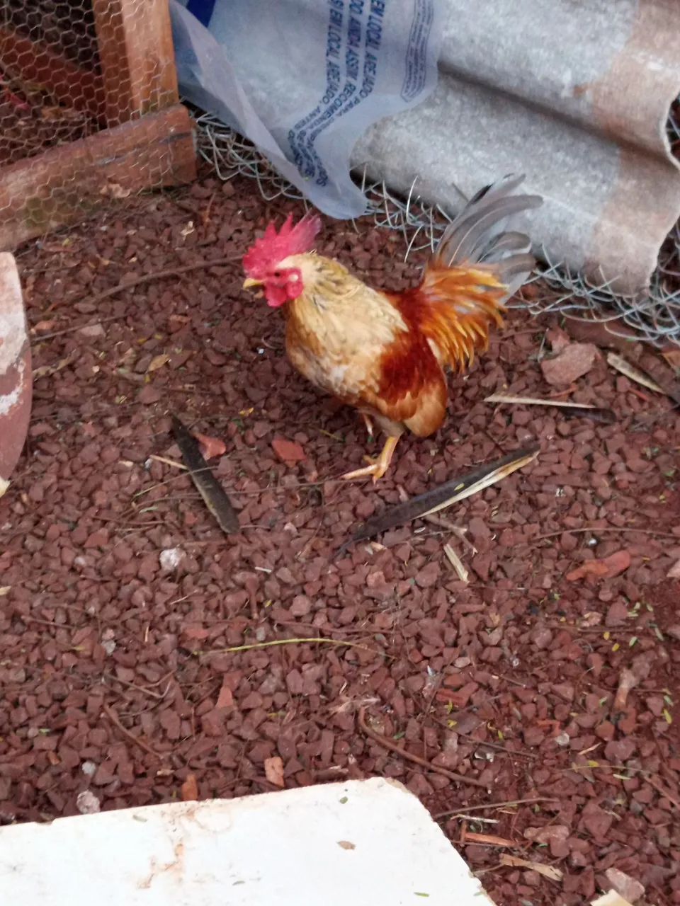 "garnizes" no Brasil