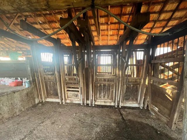 "tronco e balanca" no Brasil