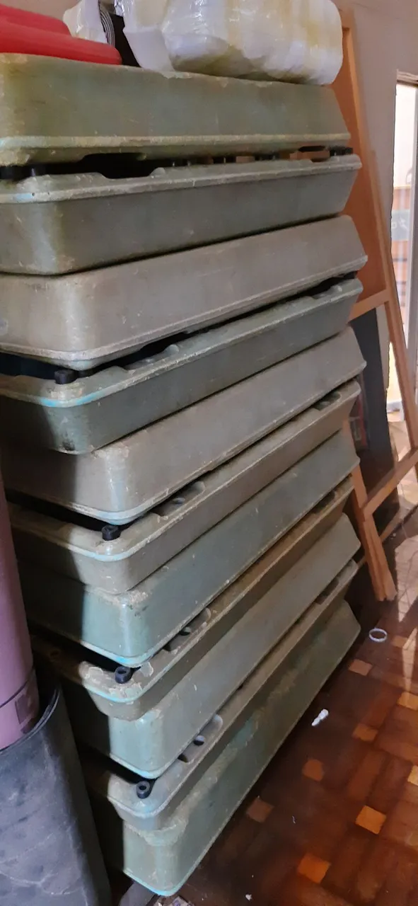 "step ginastica" - Academia e Exercícios no Brasil