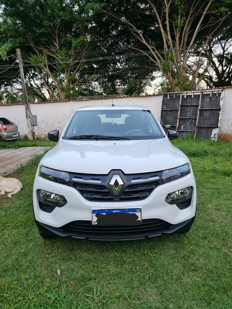 RENAULT KWID 2024 Usados e Novos