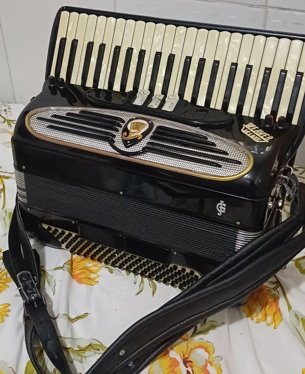 "sanfona ou acordeon" - Instrumentos musicais no Brasil