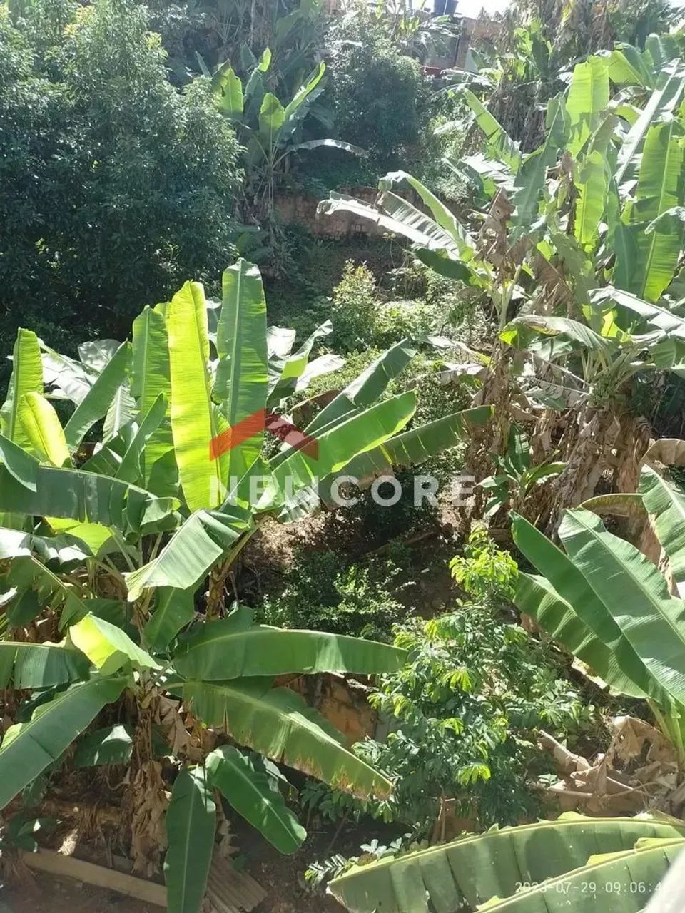 Lote em condomínio em Avenida Santo Amaro de Ipitanga - Vida Nova ...