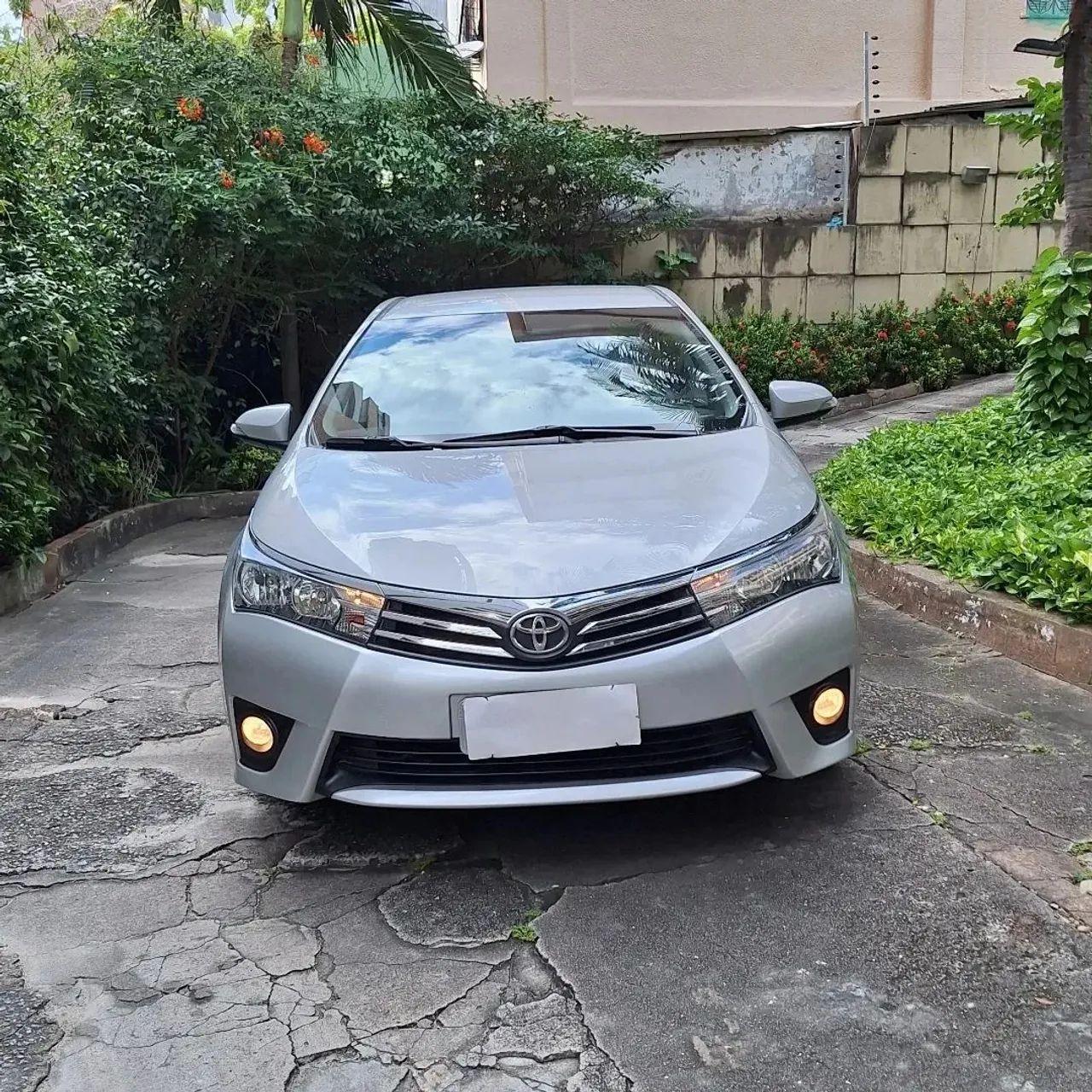 TOYOTA COROLLA 2016 Usados e Novos