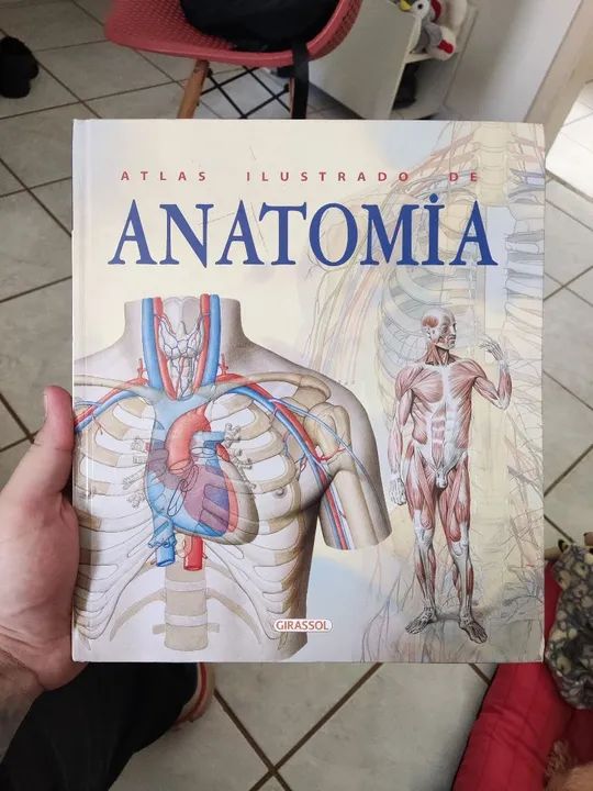 Atlas Ilustrado de Anatomia - Livro - Livros e revistas - Norte (Águas ...