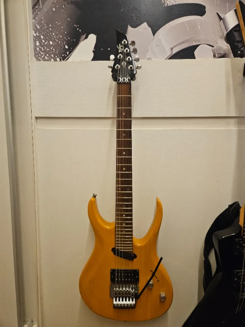 "tagima t zero" - Instrumentos musicais no Brasil