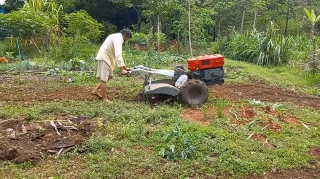 "enchadas" no Brasil