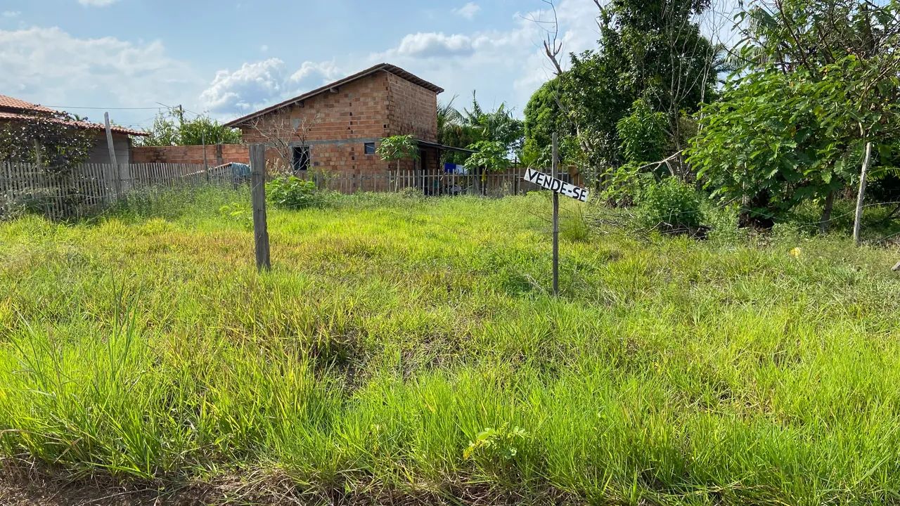 Casa à venda - São Francisco do Pará - PA 1452105484 | OLX