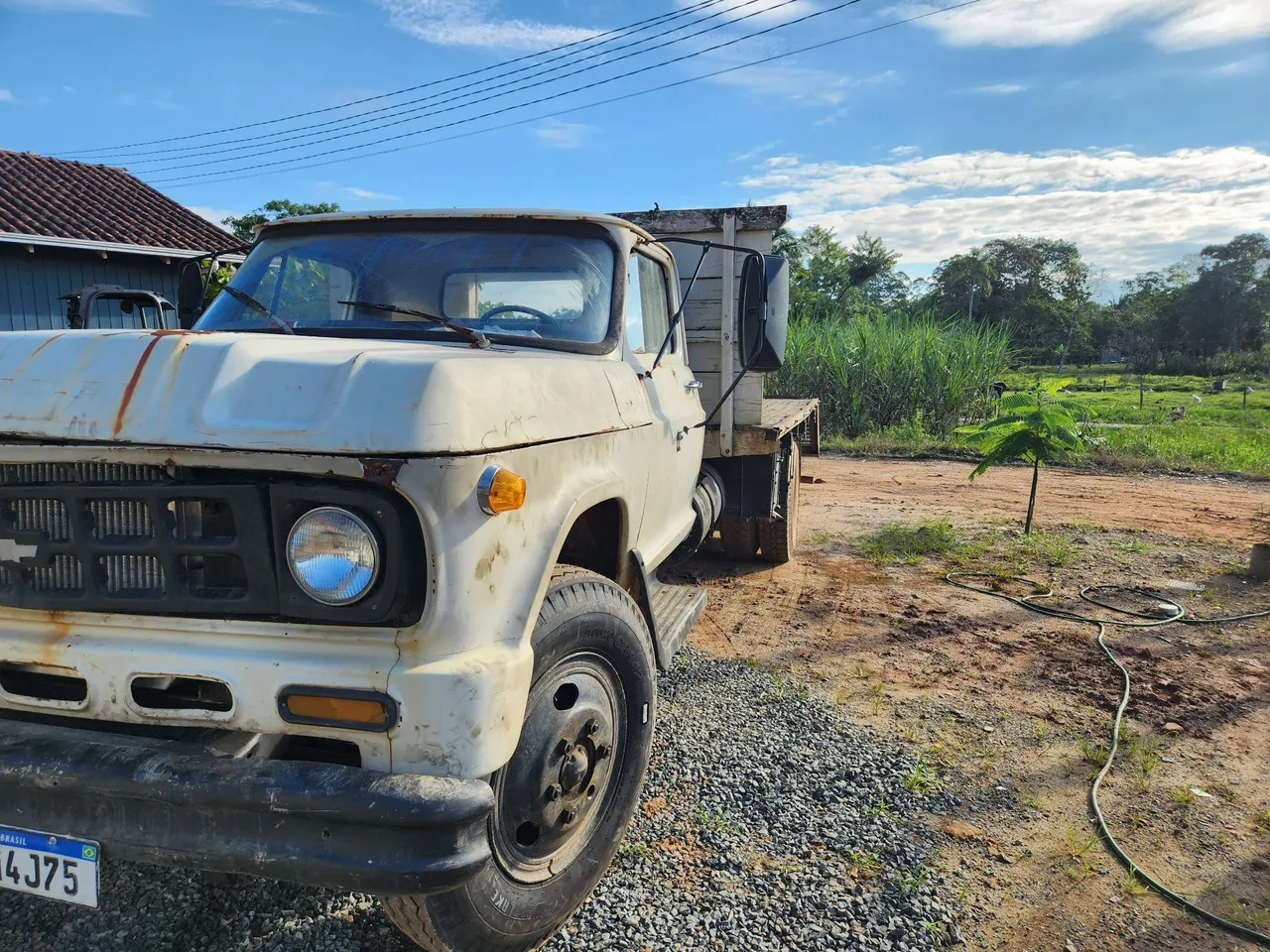 "caminhoes d60 chevrolet" no Brasil