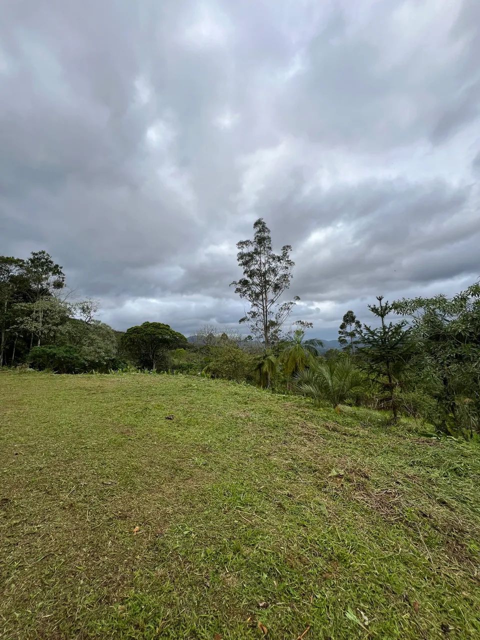 Terreno 10 mil metros Rio dos Cedros - Terrenos, sítios e fazendas ...