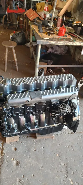 "motor mwm sprint" no Brasil