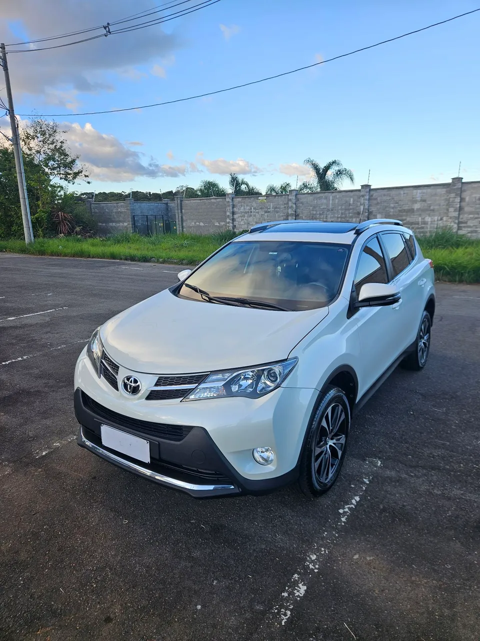 TOYOTA RAV4 2014 Usados e Novos