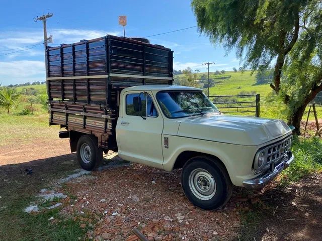 CHEVROLET D-10 Usados e Novos