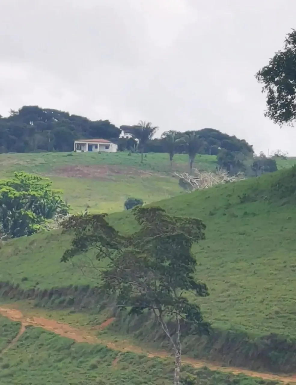 "sitio 30 hectares" - Terrenos, sítios e fazendas no Brasil ...
