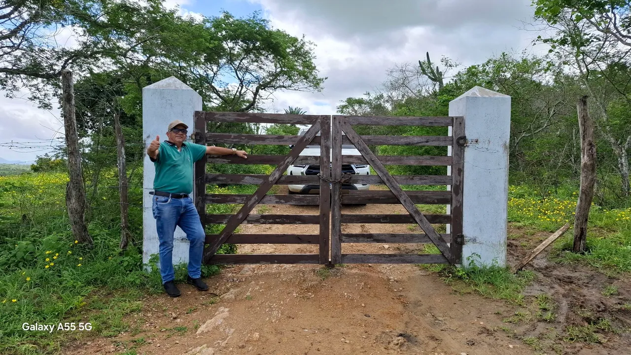 Fazendas à venda - Feira De Santana, BA | OLX