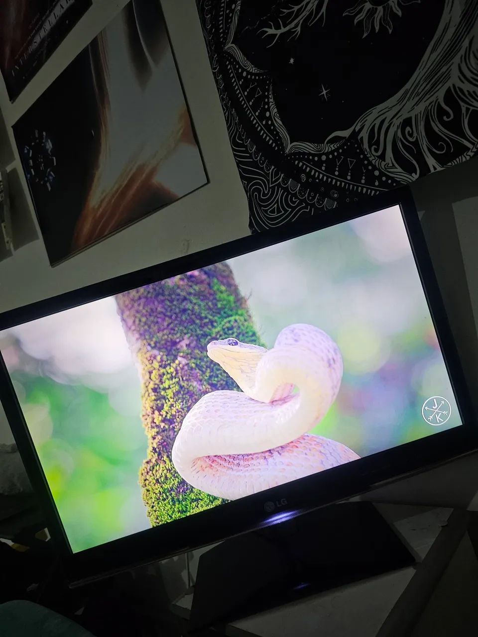 Monitor/tv 24 polegadas LG Full HD - Monitores - Vila Brasílio Machado ...