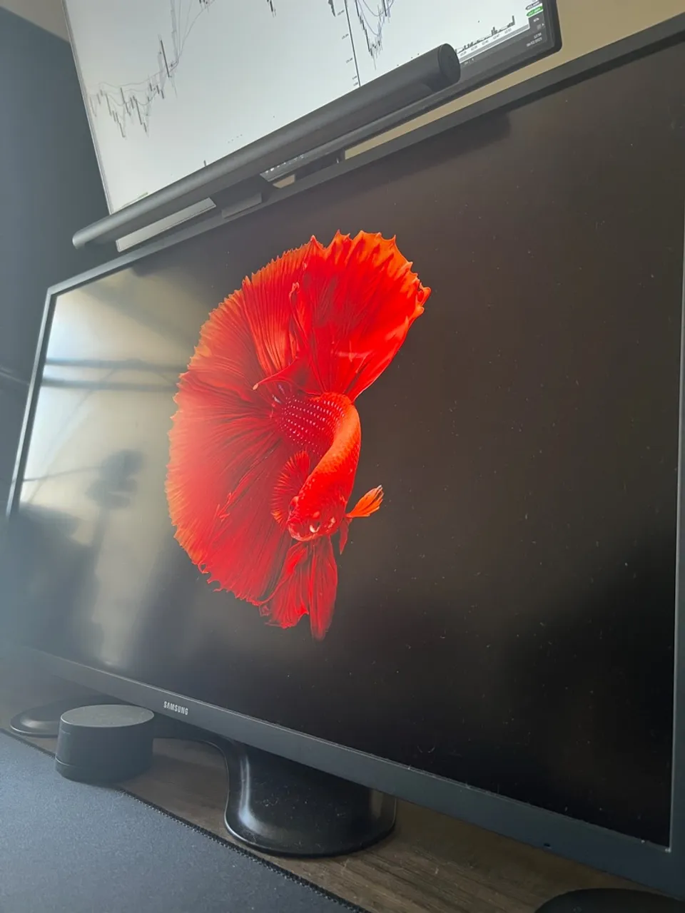 "monitor samsung 4k" no Brasil