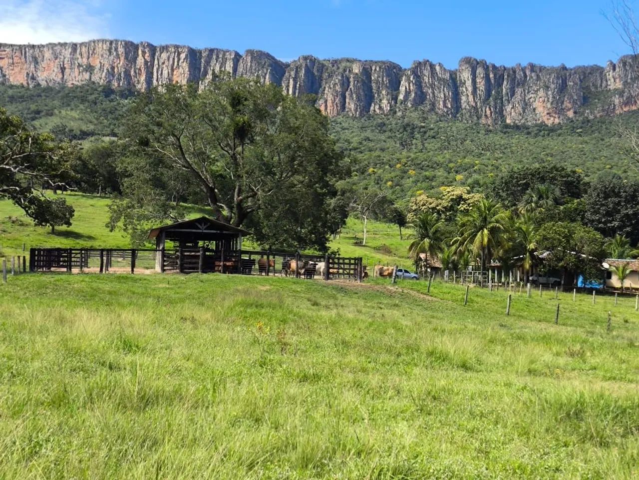 Fazenda 28 Alqueires em Goiás velho - 32km da cidade - Terrenos, sítios ...