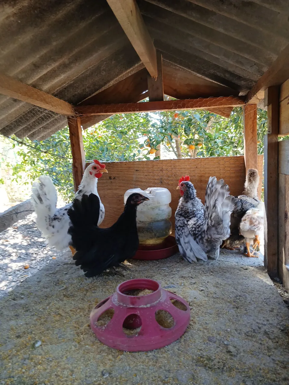 "garnizes nagasaki" no Brasil