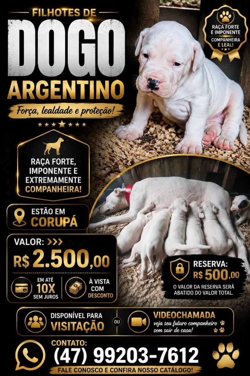 Reserva de Filhotes Dogo Argentino - Cachorros - Corupá 1500783842 | OLX