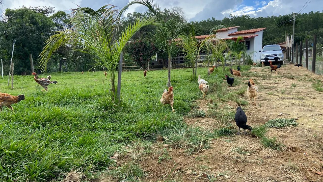 Vendo chácara rio uru itaberai/goias - Terrenos, sítios e fazendas ...